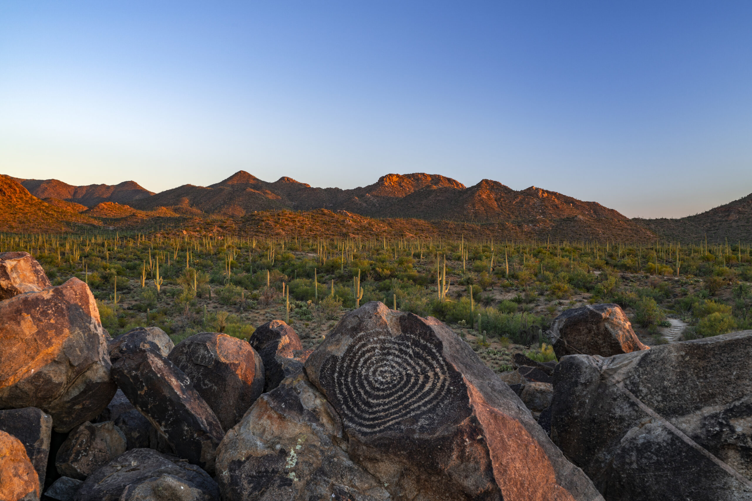 Saguaro Skies Summit